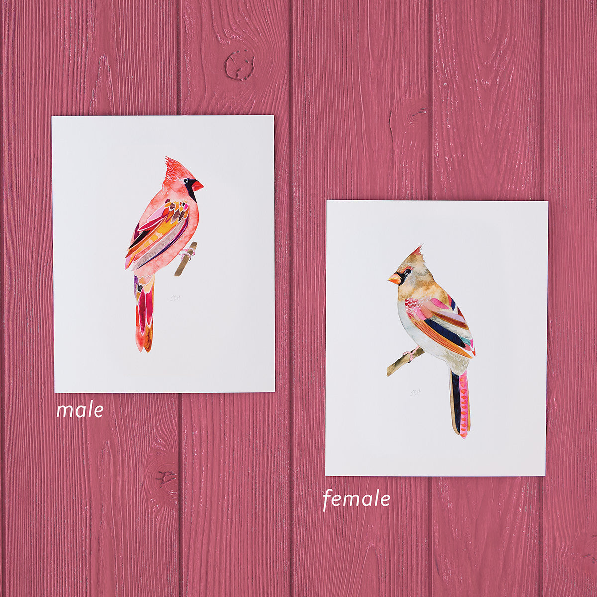 Cardinal Art Prints | North Carolina Home – Our State Store